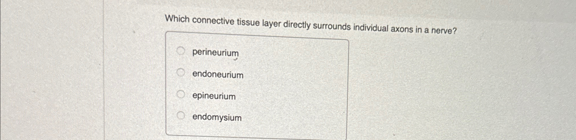 Solved Which connective tissue layer directly surrounds | Chegg.com