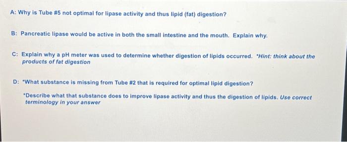 Solved essing Lipase Digestion of Fat Experiment Results | Chegg.com