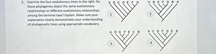 Solved 5. Examine the four evolutionary trees to the right. | Chegg.com
