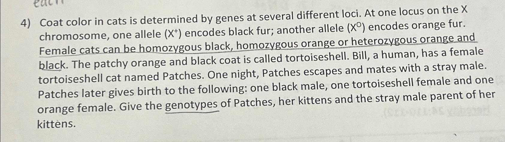 Solved Coat color in cats is determined by genes at several | Chegg.com