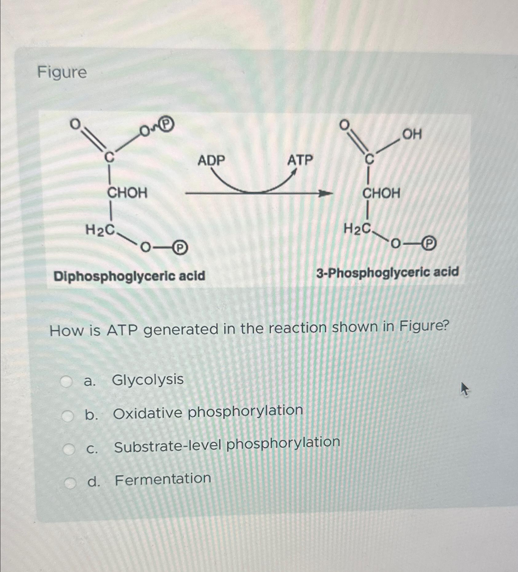 Solved FigureDiphosphoglyceric acid3-Phosphoglyceric acidHow | Chegg.com