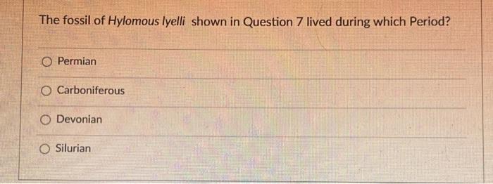 Solved Hrompus hyall, macilia and centary = 8 The above | Chegg.com