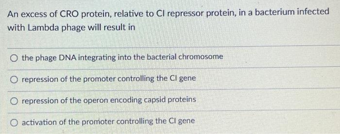 Solved An excess of CRO protein, relative to Cl repressor | Chegg.com