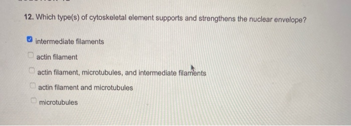 Solved 11. Which type(s) of cytoskeletal element is | Chegg.com