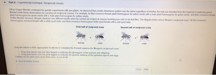 - Part A - Experimental technique Reciproc Crosses | Chegg.com