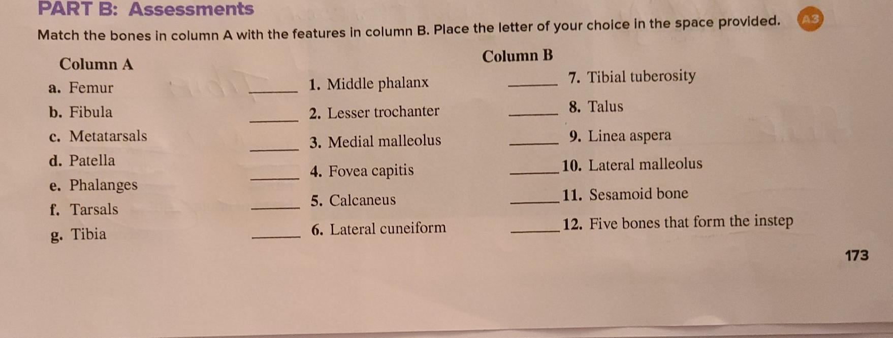 Solved A3 PART B: Assessments Match the bones in column A | Chegg.com