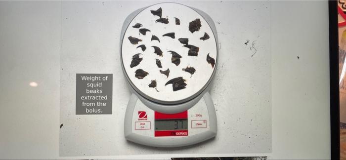 Solved View the photos to gather information regarding the | Chegg.com