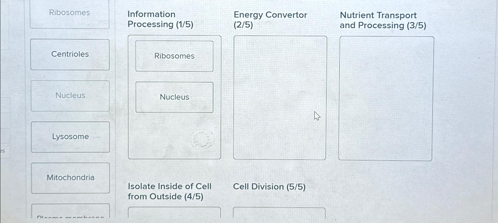 Solved InformationProcessing (1/5)Isolate Inside of Cell | Chegg.com