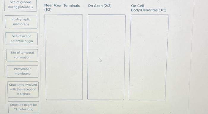Solved Site of graded (local) potentials Postsynaptic | Chegg.com