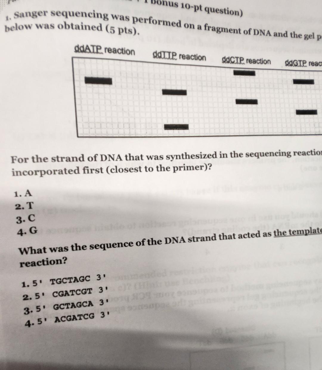 Solved 1. Sanger sequencing was performed on a fragment of | Chegg.com