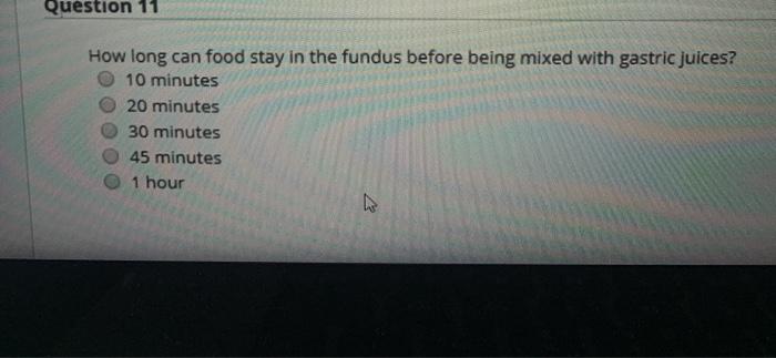 Solved Question 11 How long can food stay in the fundus | Chegg.com