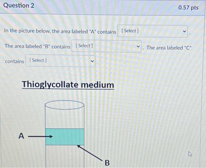 Solved In the picture below, the area labeled "A" contains | Chegg.com