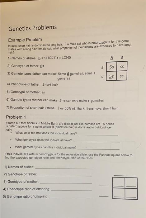 Solved Genetics Problems Ion s Example Problem In cats, | Chegg.com