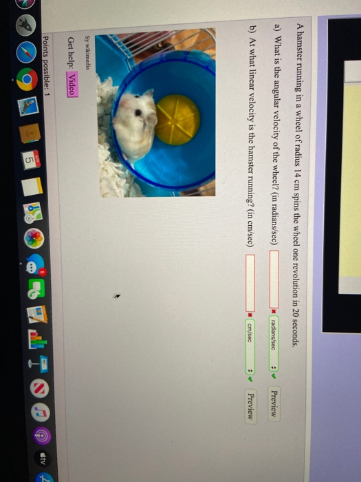 Solved A hamster running in a wheel of radius 14 cm spins | Chegg.com