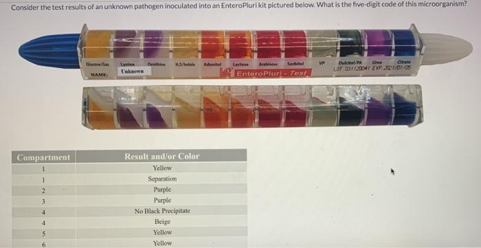 Solved Consider the test results of an unknown pathogen | Chegg.com