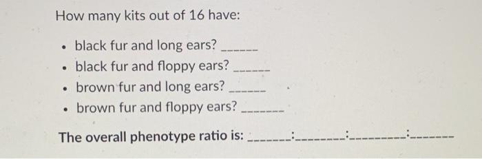 Solved To Solve-Lets look at 2 simple traits such as Floppy | Chegg.com