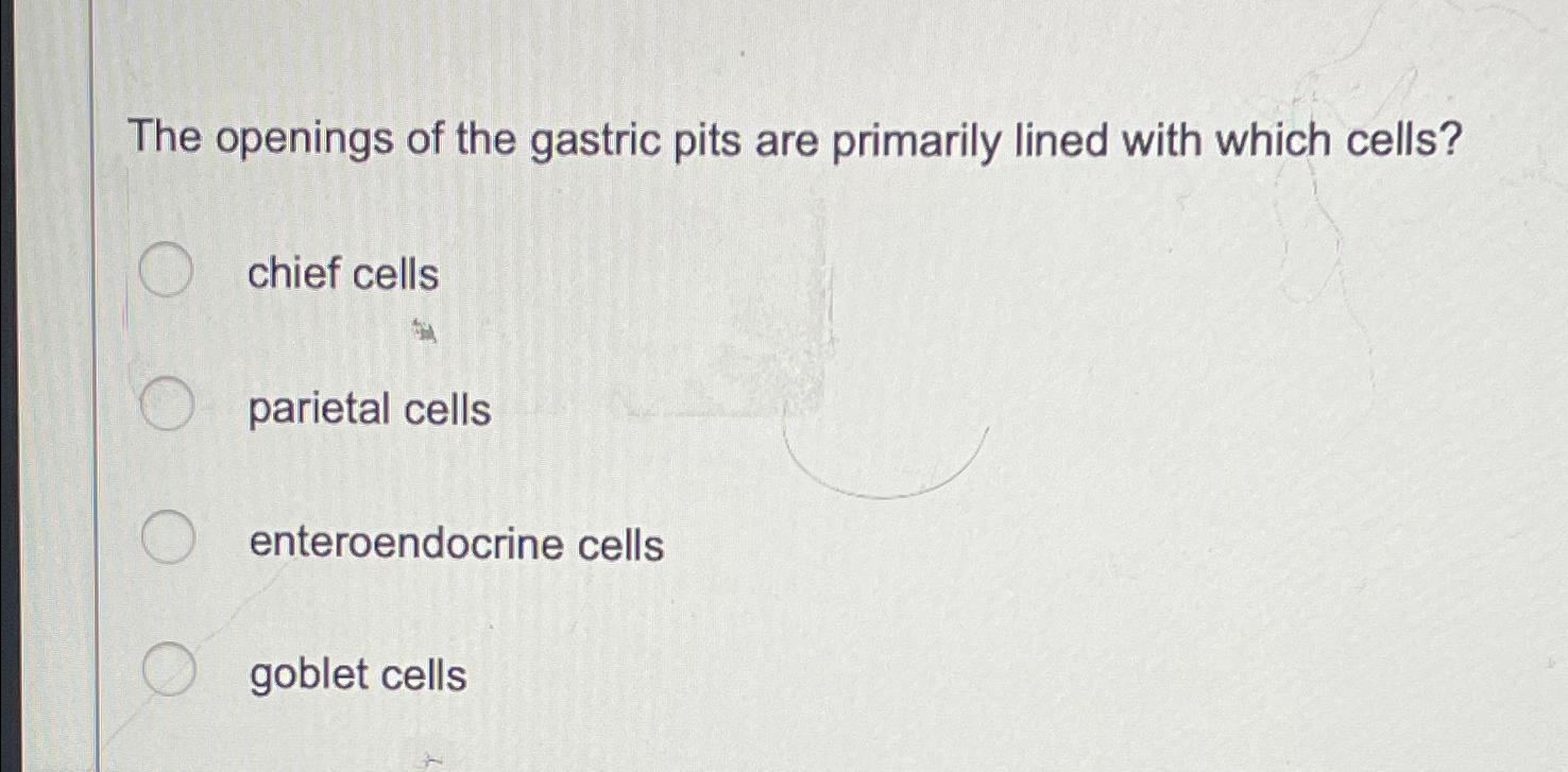 Solved The openings of the gastric pits are primarily lined | Chegg.com