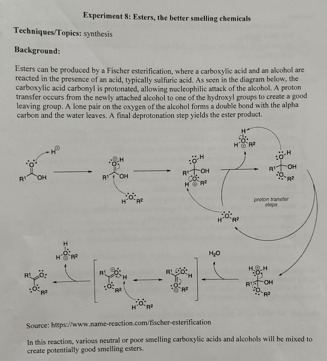 Solved Experiment 8: Esters, the better smelling chemicals | Chegg.com
