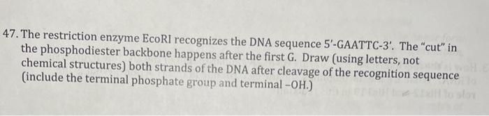 Solved 7. The restriction enzyme EcoRI recognizes the DNA | Chegg.com