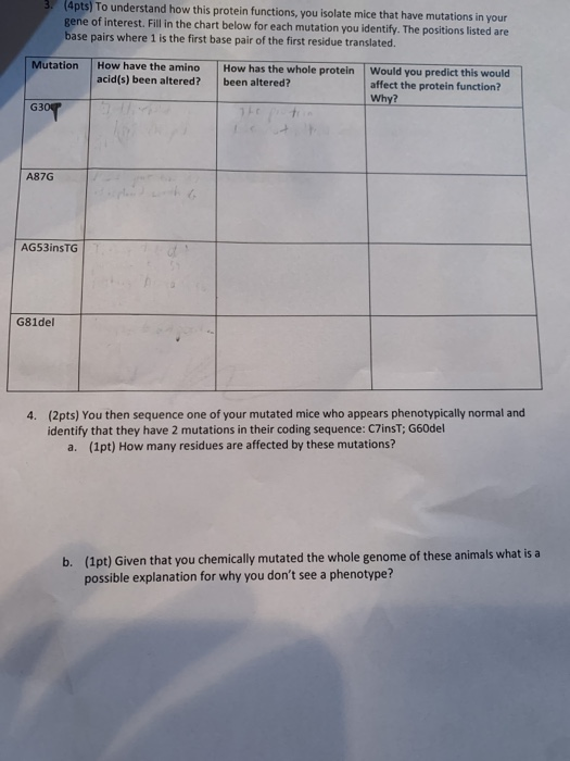 Solved You are a researcher studying trinucleotide repeat er | Chegg.com
