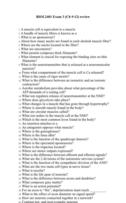 Solved BIOL2401 Exam 3 (Ch 9-12) review 1 1. A muscle cell | Chegg.com
