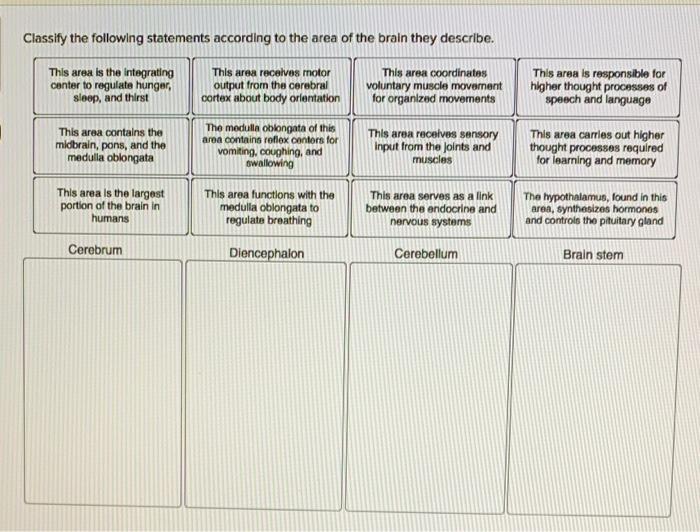 Solved Classify the following statements according to the | Chegg.com