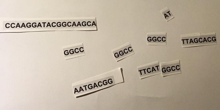 Solved Distribute the DNA fragments from largest to smallest | Chegg.com