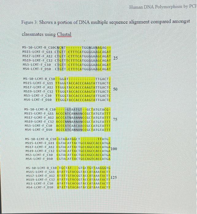 Solved Human DNA Polymorphism by PCE Figure 3: Shows a | Chegg.com
