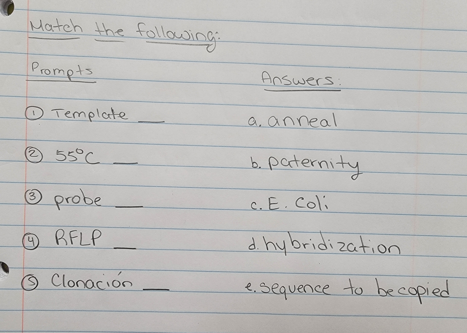 Solved Match the following:PromptsAnswers:(1) ﻿Templatea. | Chegg.com