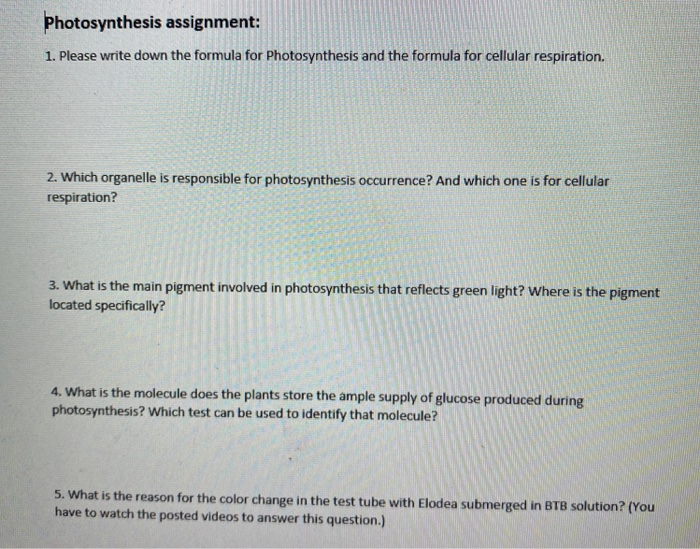 Solved Photosynthesis assignment: 1. Please write down the | Chegg.com