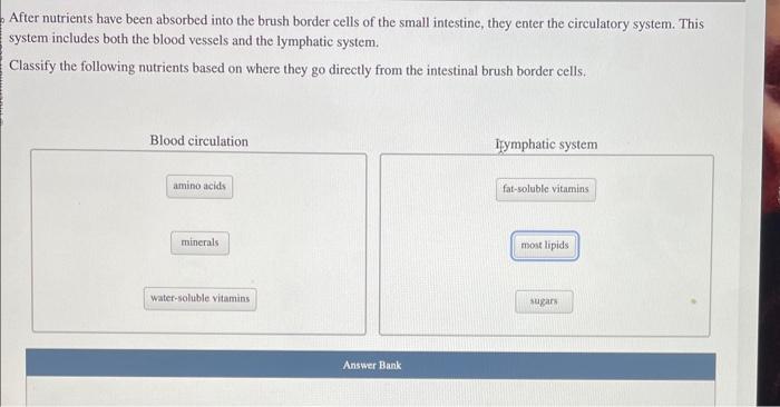 Solved After nutrients have been absorbed into the brush | Chegg.com
