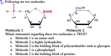 Solved Many bacteria have cell surface extensions called | Chegg.com
