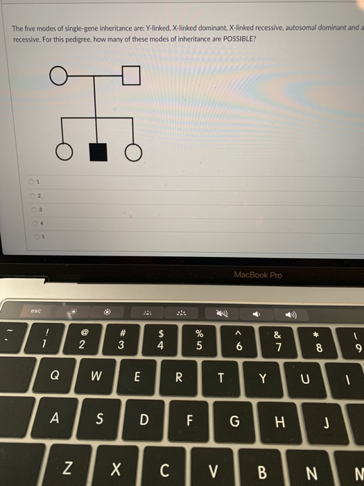Solved The five modes of single-gene inheritance are: | Chegg.com