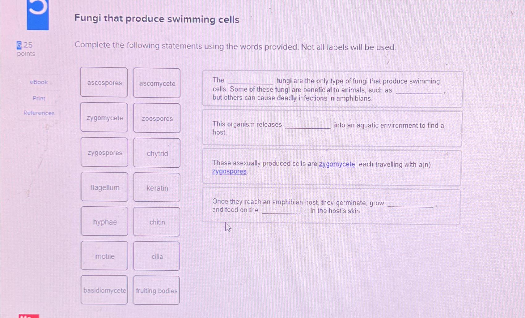 Solved Fungi that produce swimming cells6. 25 ﻿polntsThe | Chegg.com
