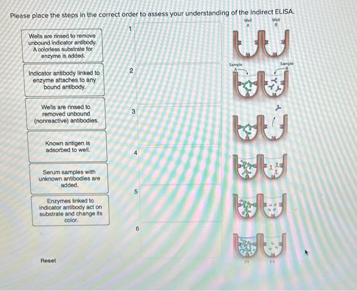 Solved Please label the image to examine various aspects of | Chegg.com