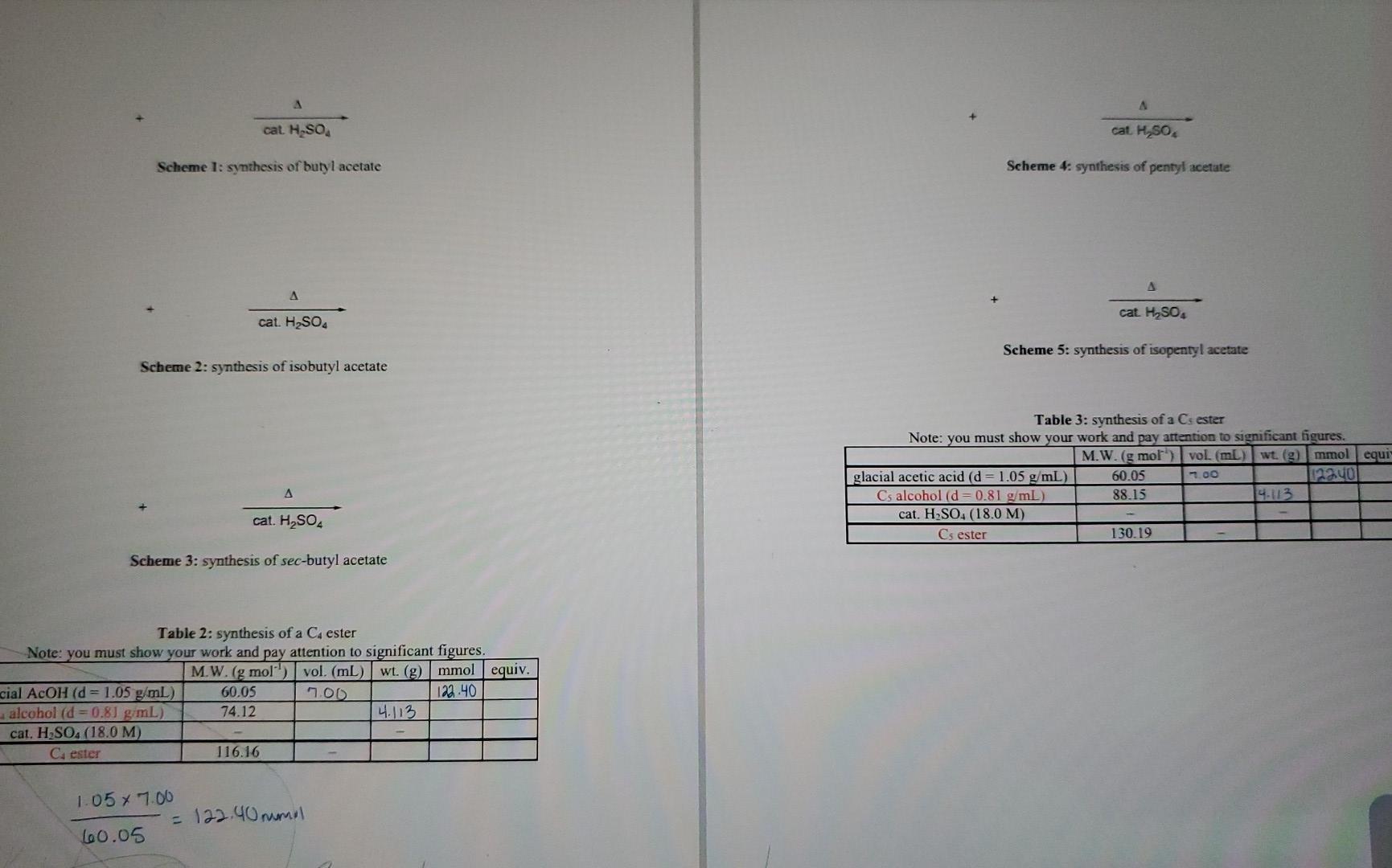 Solved A A cat H2SO4 cat H2SO4 Scheme 1: synthesis of butyl | Chegg.com