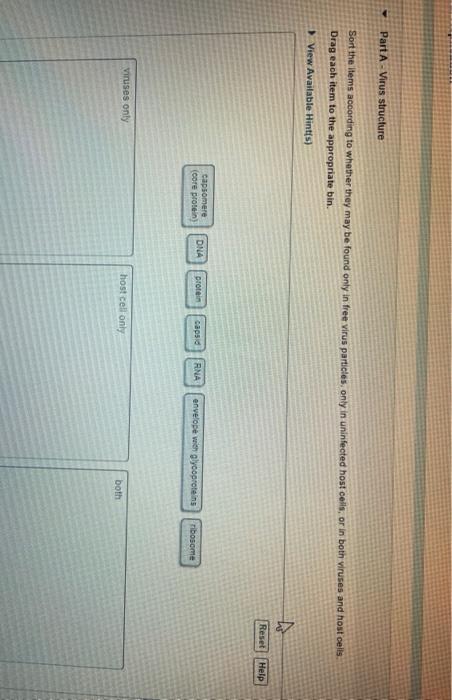 Solved Part A - Virus structure Sort the items according to | Chegg.com