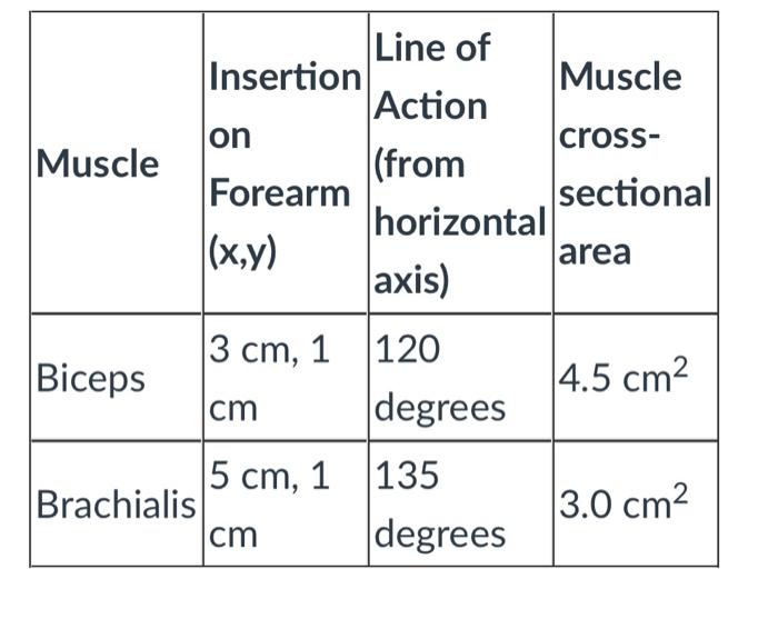 Solved \begin{tabular}{|l|l|l|l|} \hline Muscle & Insertion | Chegg.com