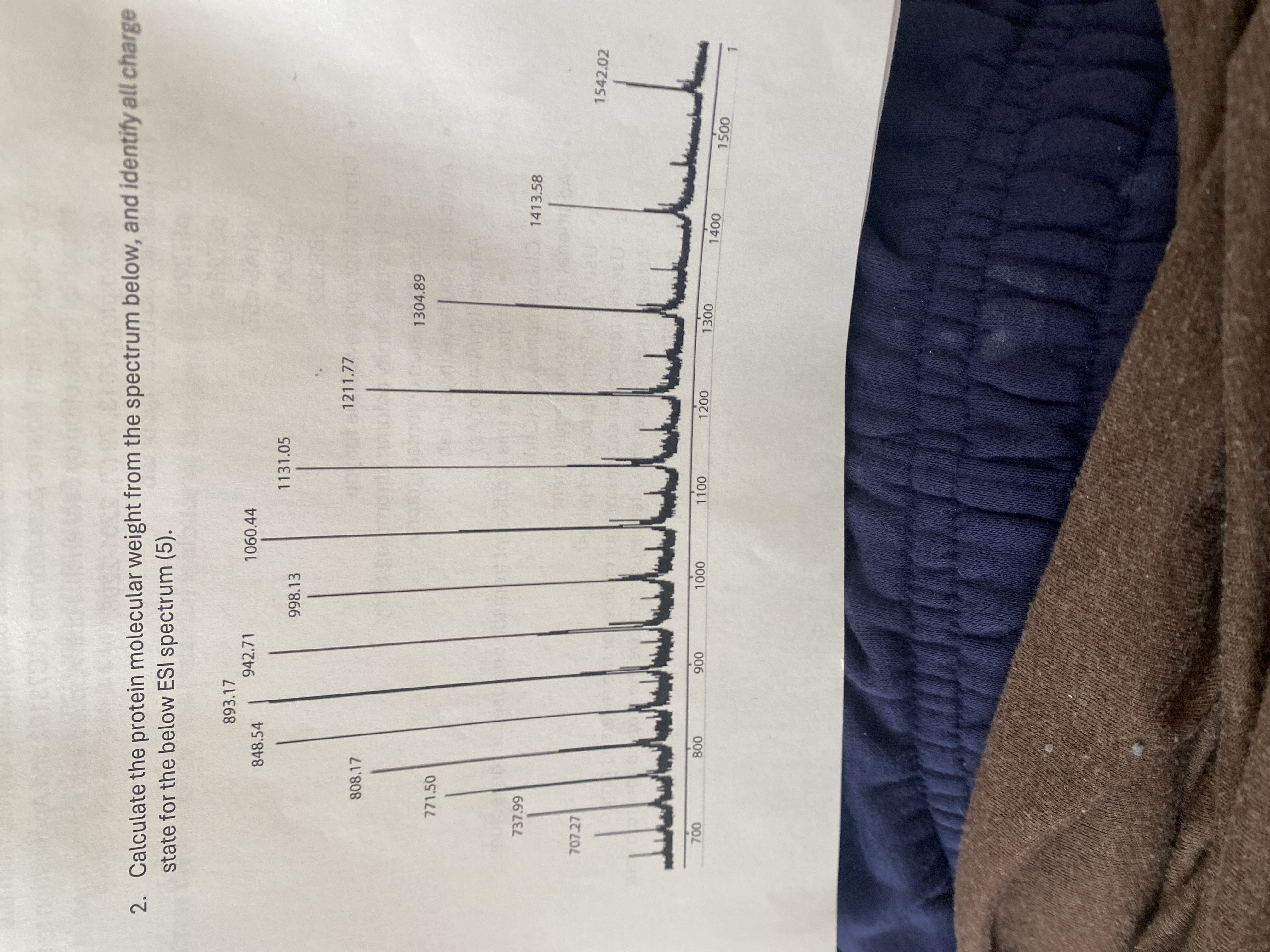 Solved 2. ﻿Calculate the protein molecular weight from the | Chegg.com