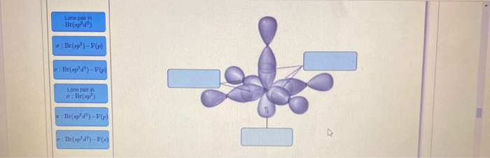Solved Label the structure of BrFs, including overlapping | Chegg.com