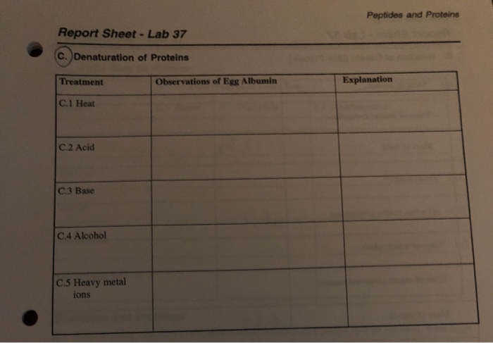 Solved Peptides and Proteins Report Sheet - Lab 37 C. | Chegg.com