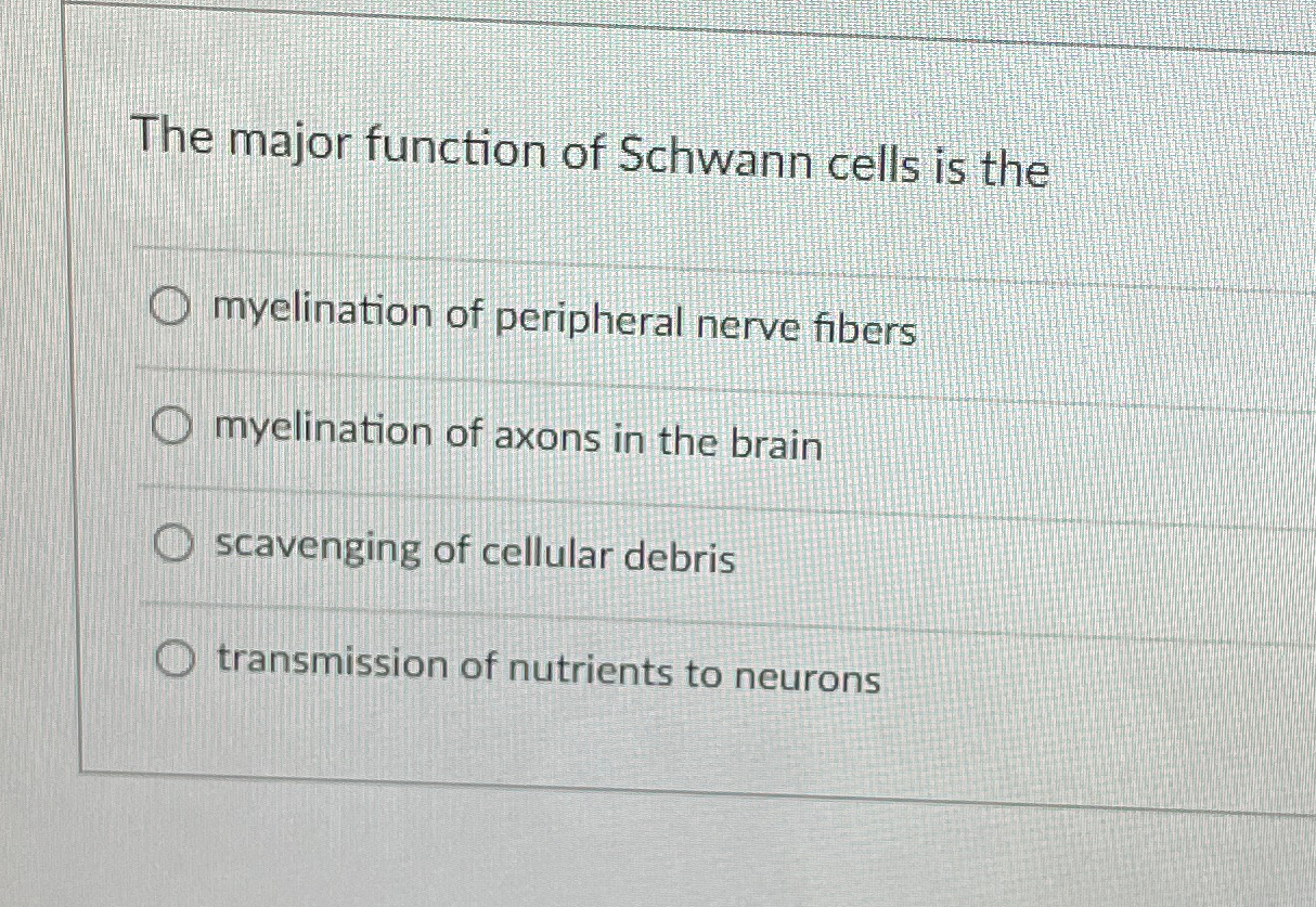 Solved The major function of Schwann cells is themyelination | Chegg.com