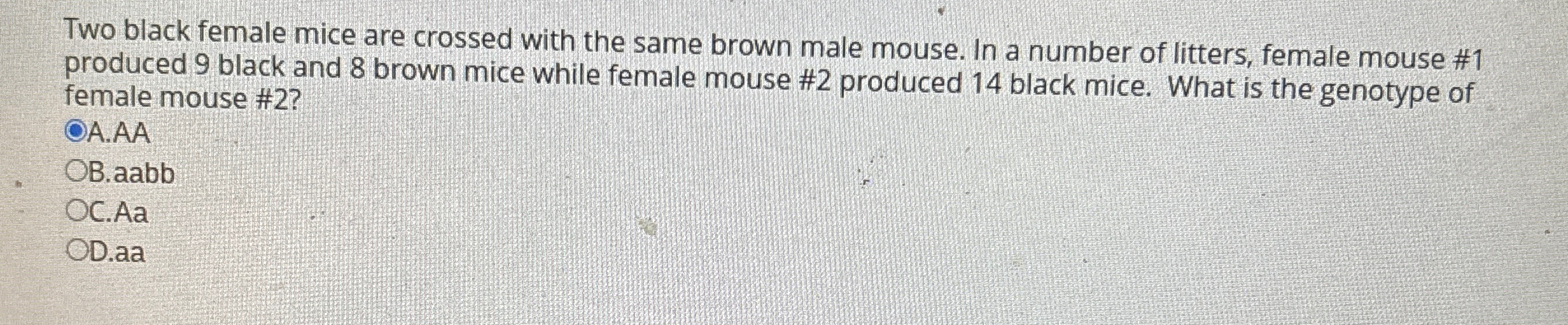 Solved Two black female mice are crossed with the same brown | Chegg.com
