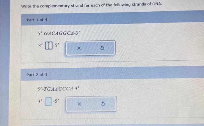 Write the complementary strand for each of the | Chegg.com
