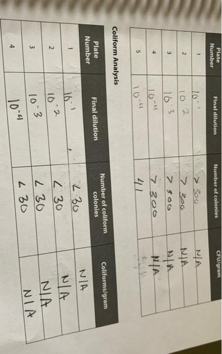 Solved How to calculate colony forming units (CFU) or | Chegg.com