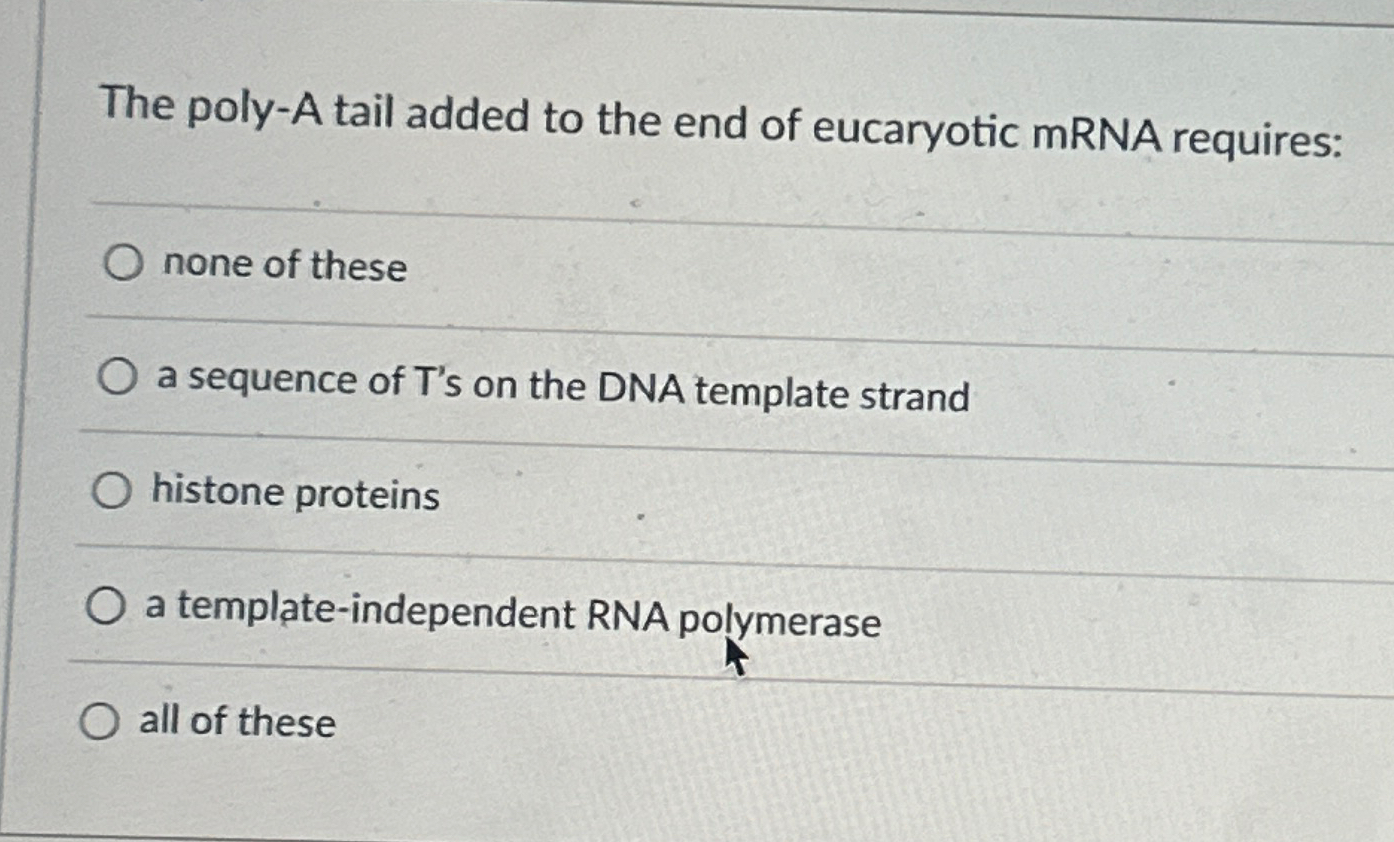 Solved The poly-A tail added to the end of eucaryotic mRNA | Chegg.com