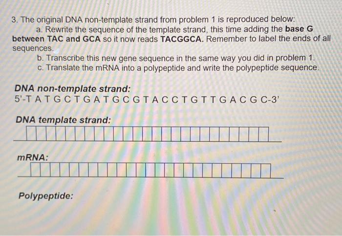 Solved 3. The original DNA non-template strand from problem | Chegg.com