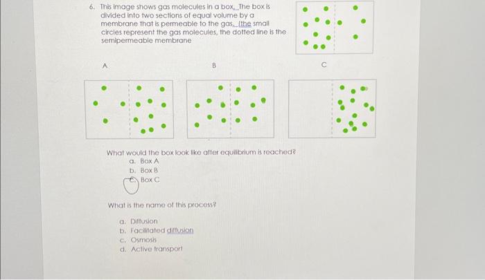 Solved 6. This image shows gas molecules in a box . The box | Chegg.com
