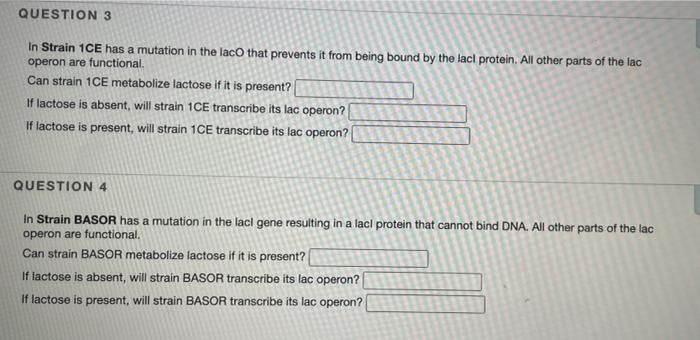 Solved QUESTION 3 In Strain 1CE has a mutation in the laco | Chegg.com