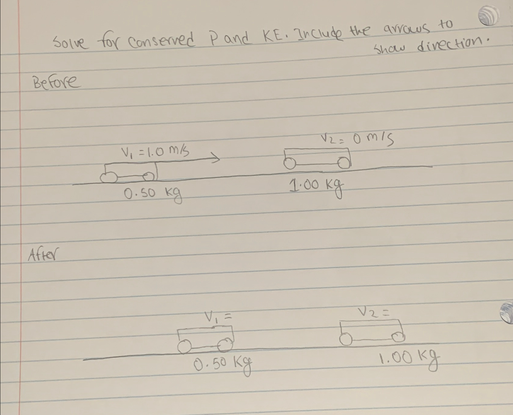 Solved Solve for conserved P ﻿and KE. ﻿Include the arrows to | Chegg.com